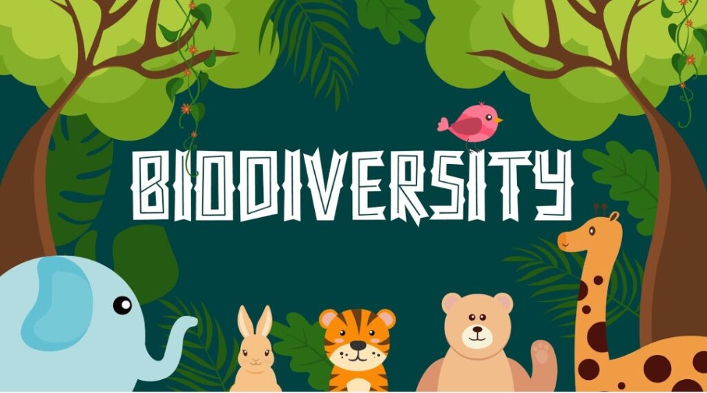 A Comprehensive Guide for Kids About Biodiversity : Understanding