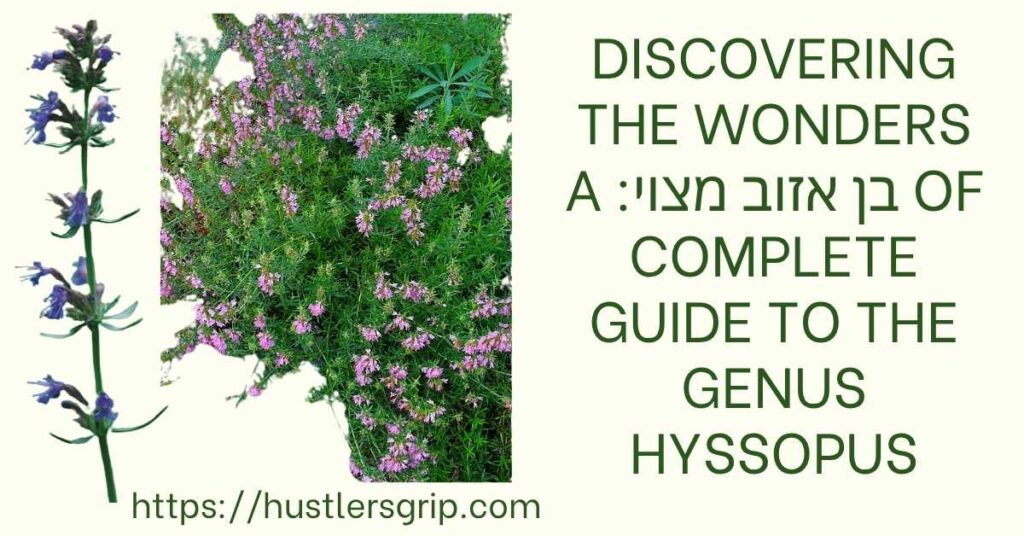 Lookism Void Scans: You Need to Know About the Webtoon