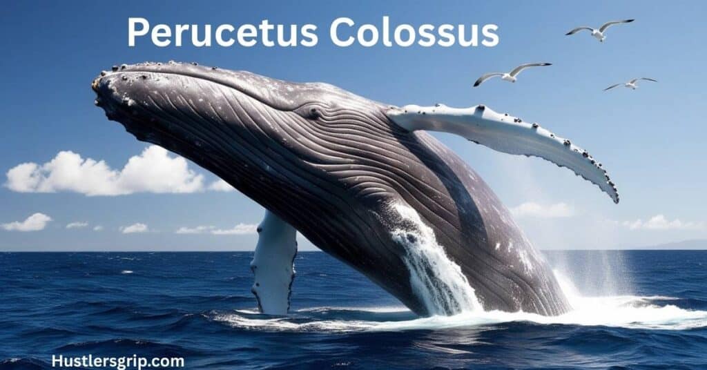 Perucetus Colossus – The Heaviest Animal Ever?